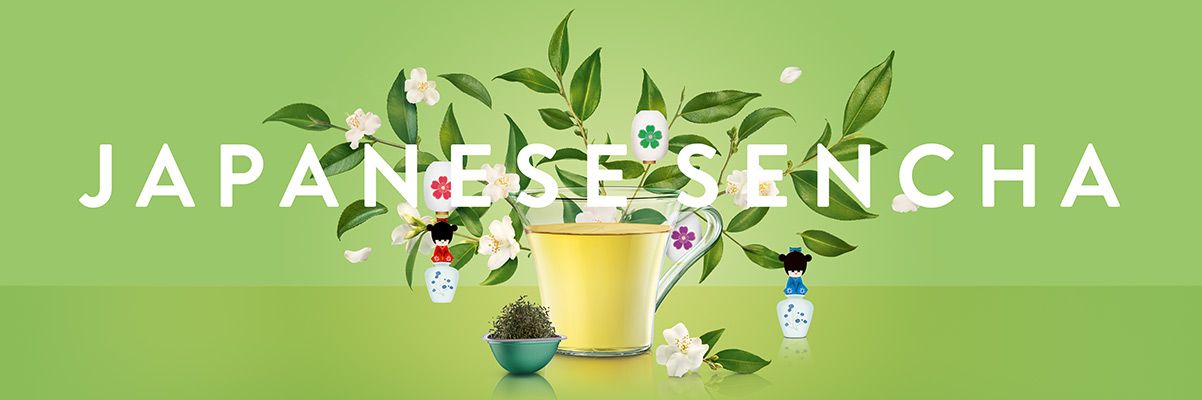 Japanese Sencha - Thé vert en capsules - SPECIAL.T by Nestlé